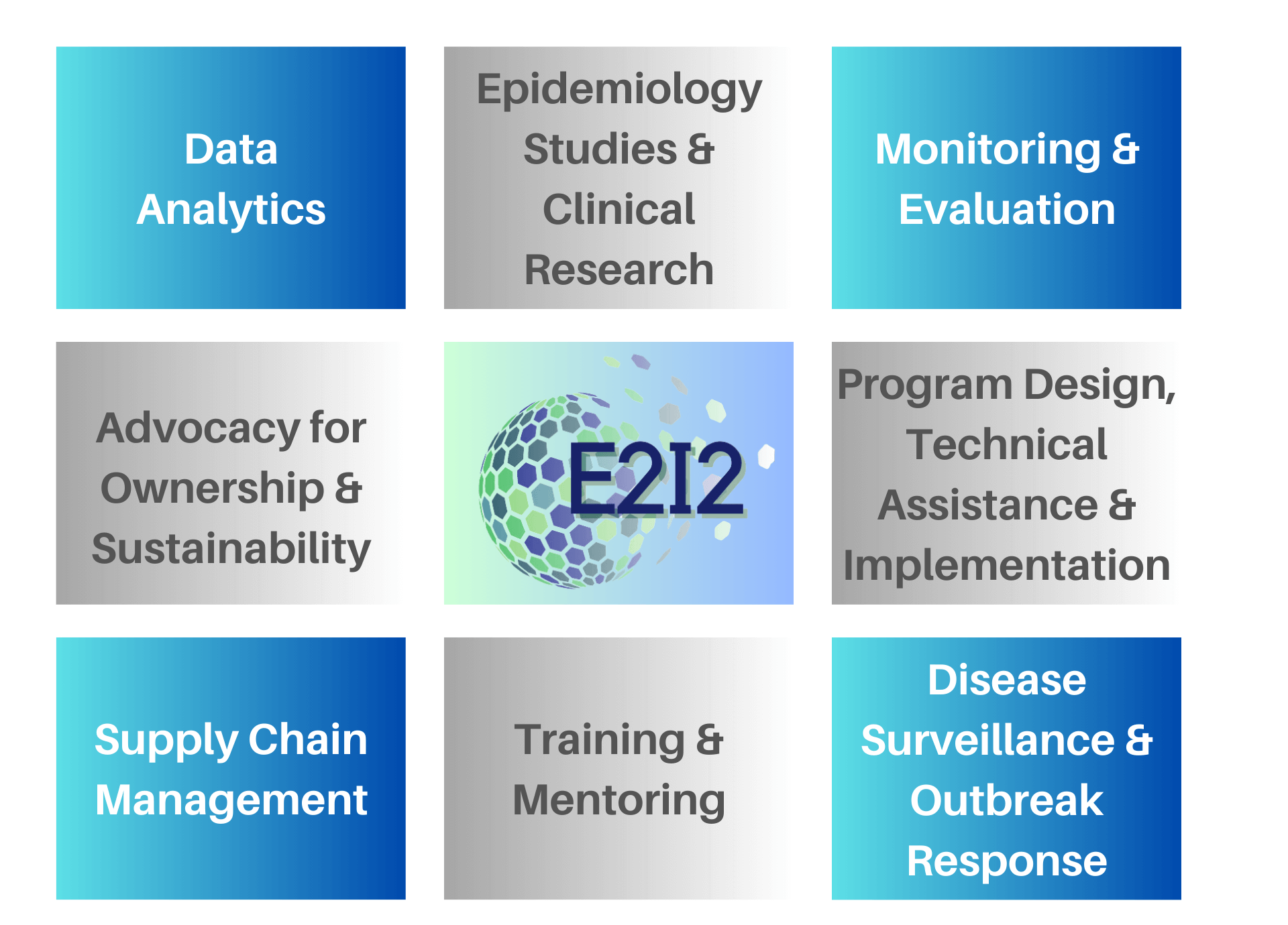 Public & Environmental Health - Professional Services Firm
